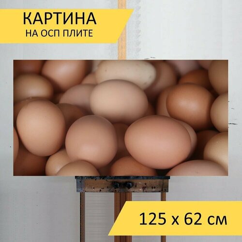 Картина на ОСП 125х62 см. "Яйцо, куриные яйца, яичная скорлупа" горизонтальная, для интерьера, с креплениями