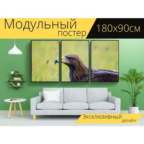 Модульный постер "Золотой орел, орел, птица" 180 x 90 см. для интерьера