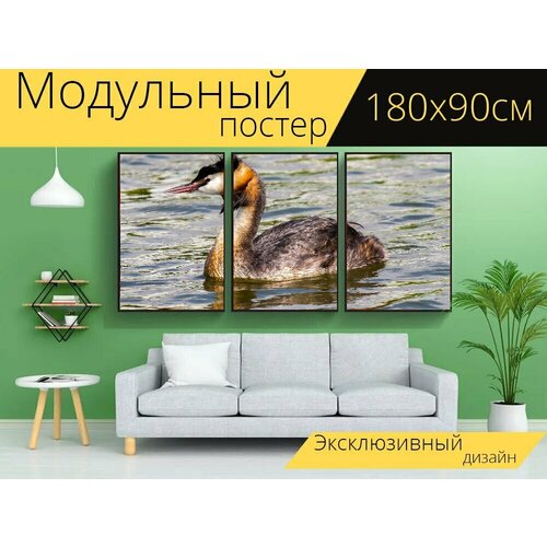 Модульный постер "Большая хохлатая поганка, водоплавающая птица, птица" 180 x 90 см. для интерьера