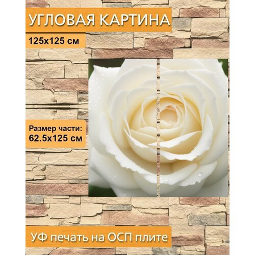 Модульная картина на ОСП любителям природы "Цветы, роза, белый бутон" 125x125 см. 2 части для интерьера на стену