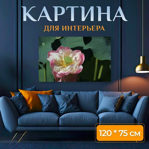 Картина на холсте "Цветок, лотос, цветок лотоса" на подрамнике 120х75 см. для интерьера