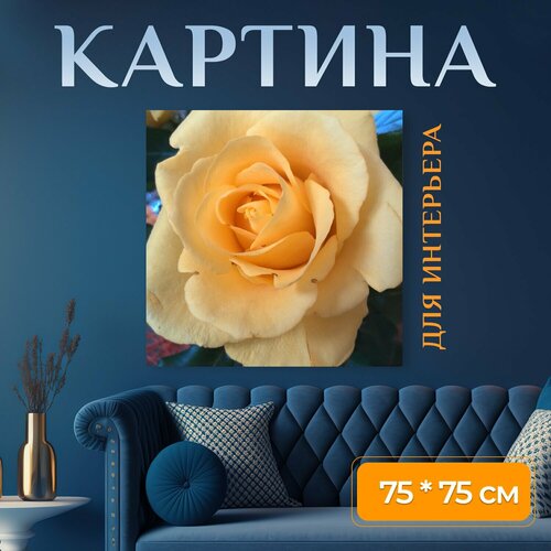 Картина на холсте "Цветок, роза, цвести" на подрамнике 75х75 см. для интерьера