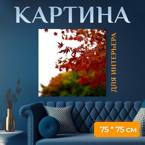 Картина на холсте "Осенние листья, осень, пейзаж" на подрамнике 75х75 см. для интерьера