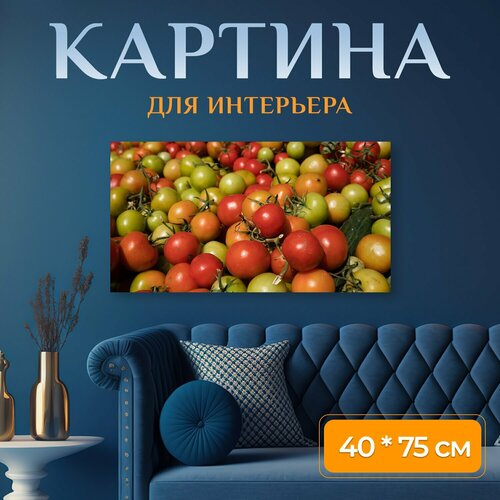 Картина на холсте "Помидоры, помидор, уборка урожая" на подрамнике 75х40 см. для интерьера