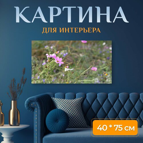Картина на холсте "Полевой цветок, цветы, сад" на подрамнике 75х40 см. для интерьера