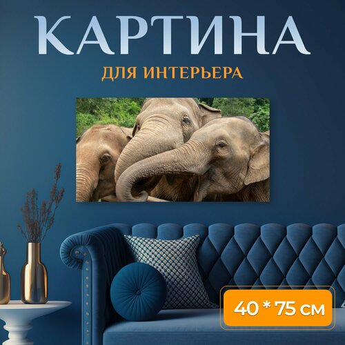 Картина на холсте "Слоны, животное, слон" на подрамнике 75х40 см. для интерьера
