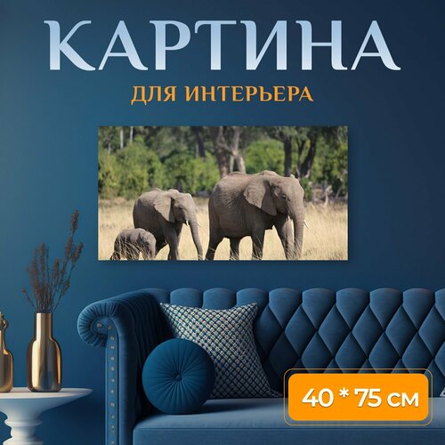 Картина на холсте "Слон, семья, дикая природа" на подрамнике 75х40 см. для интерьера
