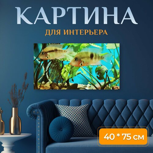 Картина на холсте "Аквариум, райби, акваристика" на подрамнике 75х40 см. для интерьера
