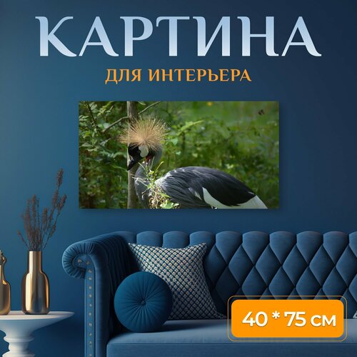 Картина на холсте "Венценосный журавль, птица, зоопарк" на подрамнике 75х40 см. для интерьера