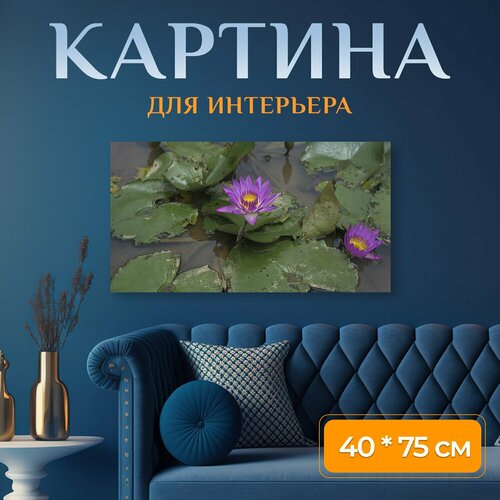 Картина на холсте "Цветок лотоса, цветок, лотос" на подрамнике 75х40 см. для интерьера