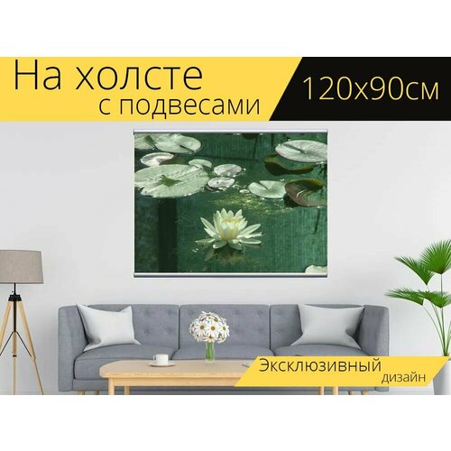 Картина на холсте "Водяная лилия, болото, воды" с подвесами 120х90 см. для интерьера