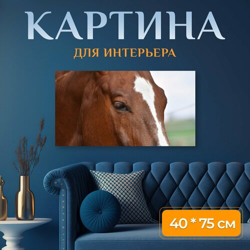 Картина на холсте "Лошадь, сарай, жеребец" на подрамнике 75х40 см. для интерьера
