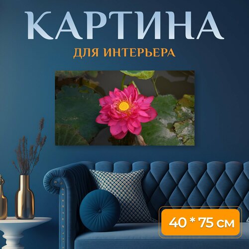 Картина на холсте "Лотос, цветок, лагуна" на подрамнике 75х40 см. для интерьера