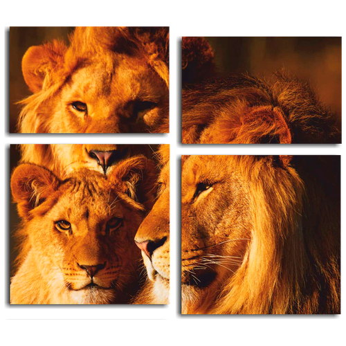 Модульная картина Семья львов 104х87 см