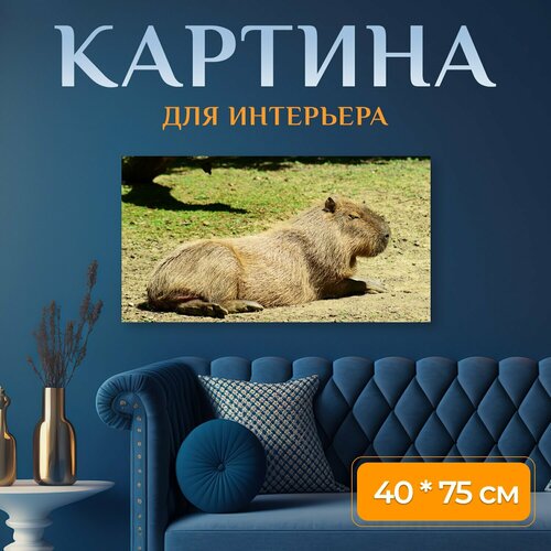 Картина на холсте "Капибара, грызун, млекопитающее" на подрамнике 75х40 см. для интерьера