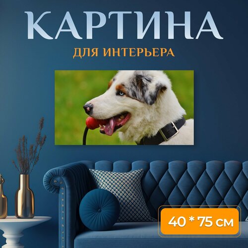 Картина на холсте "Собака, играть, луг" на подрамнике 75х40 см. для интерьера