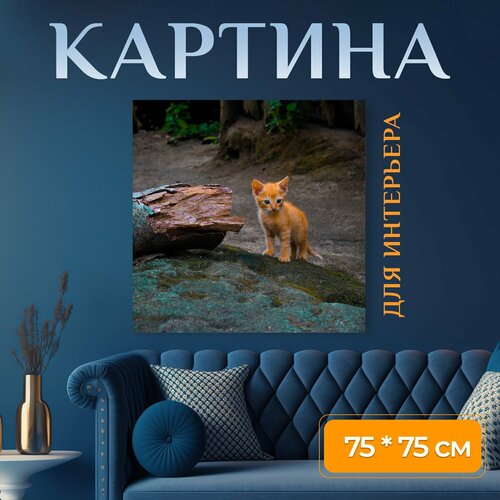 Картина на холсте "Кот, животные, природа" на подрамнике 75х75 см. для интерьера