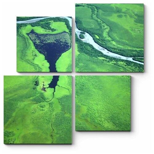 Модульная картина Зеленые поля и река с высоты птичьего полета130x130