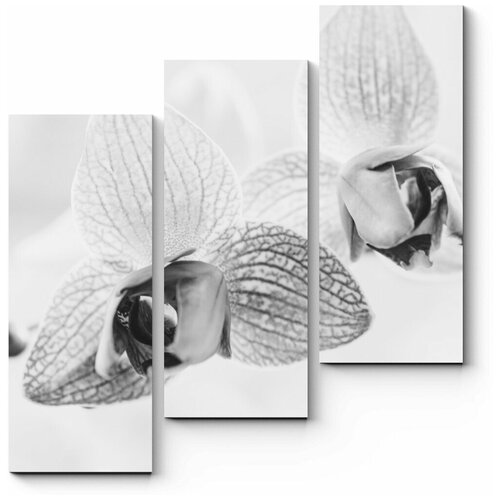 Модульная картина Черно-белые орхидеи 70x75