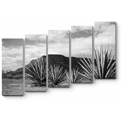 Модульная картина Мексиканский пейзаж 130x91