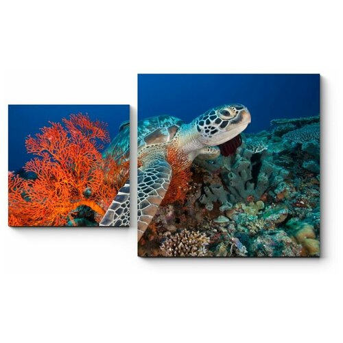 Модульная картина Морская черепаха в кораллах70x42