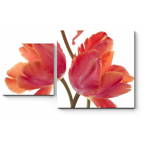 Модульная картина Распустившиеся тюльпаны 150x90