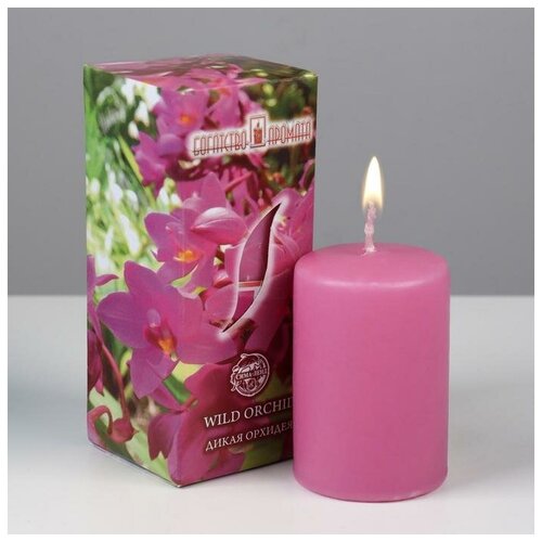 Свеча ароматическая "Дикая орхидея", 4×6 см, в коробке 5264922