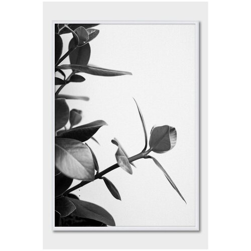 Черно-белый постер на стену для интерьера Postermarkt Листья растения №2, постер в белой рамке 40х50 см, постеры картины для интерьера в белой рамке