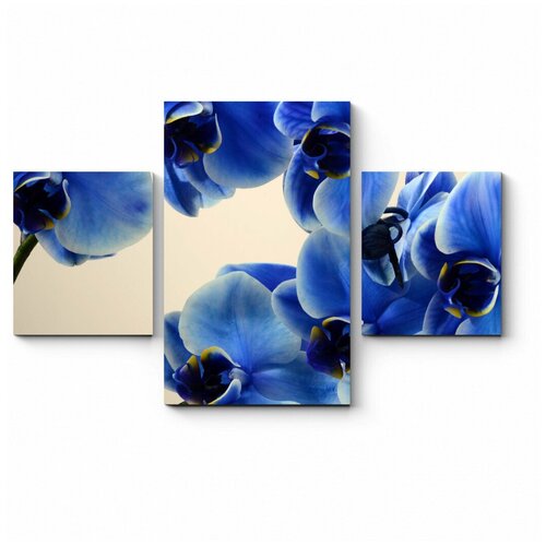 Модульная картина Синие орхидеи 80x52