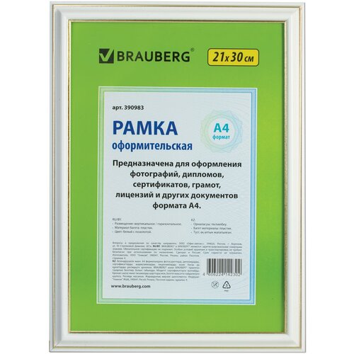 Рамка BRAUBERG 390983, комплект 5 шт.