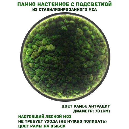 Круглое панно из стабилизированно мха GardenGo с подсветкой в рамке цвета антрацит диаметр 70 см, цвет мха зеленый