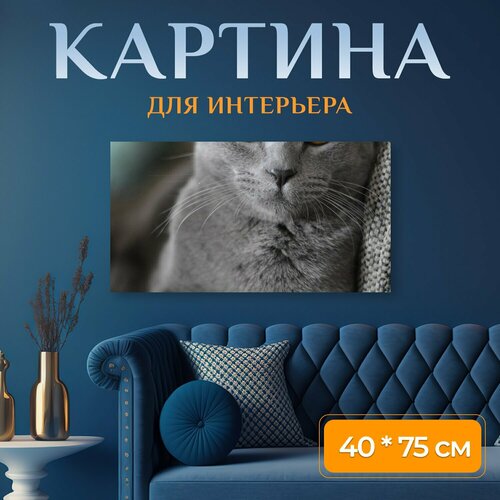 Картина на холсте "Кот, портрет, котенок" на подрамнике 75х40 см. для интерьера