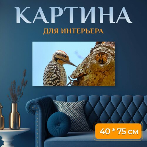 Картина на холсте "Дятел, животное, птица" на подрамнике 75х40 см. для интерьера