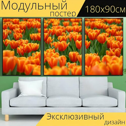 Модульный постер "Цветы, тюльпаны, поле" 180 x 90 см. для интерьера