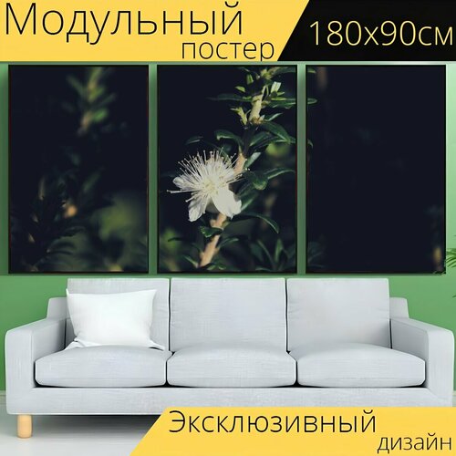 Модульный постер "Белый, цветок, блум" 180 x 90 см. для интерьера