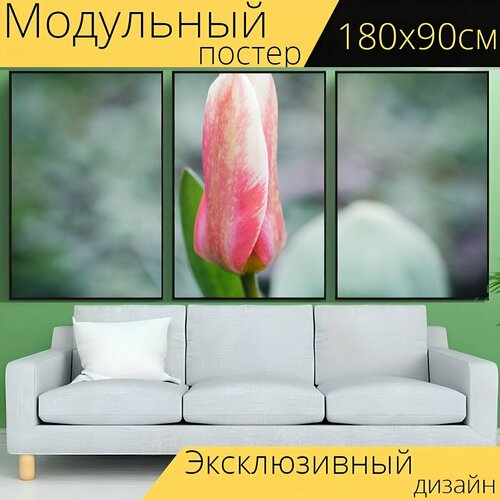 Модульный постер "Тюльпан, весна, природа" 180 x 90 см. для интерьера