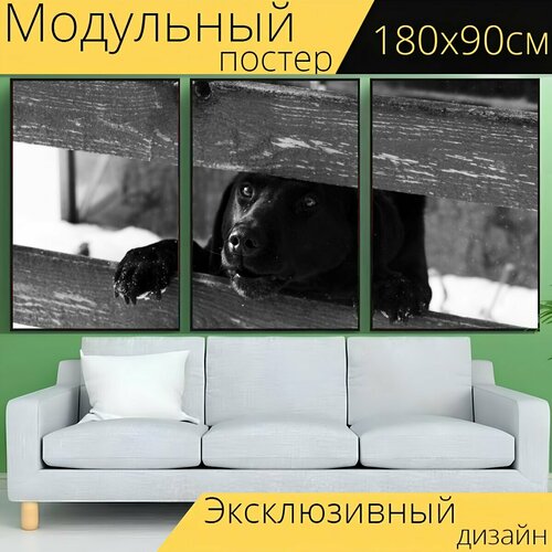 Модульный постер "Собака, изгородь, животные" 180 x 90 см. для интерьера