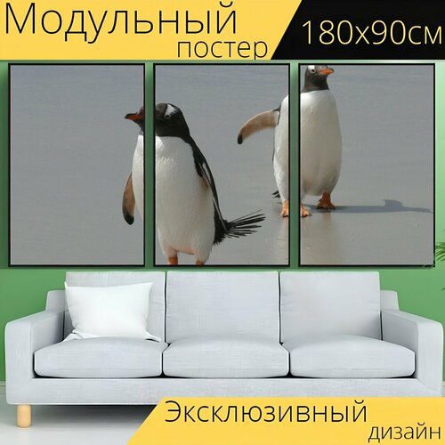 Модульный постер "Ослы пингвины, пингвины, антарктика" 180 x 90 см. для интерьера