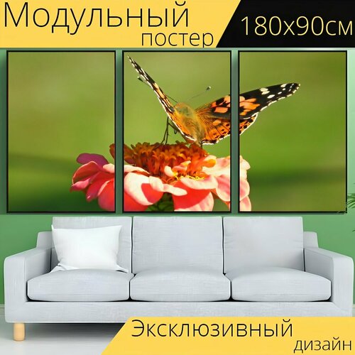 Модульный постер "Бабочка, насекомое, цветок" 180 x 90 см. для интерьера