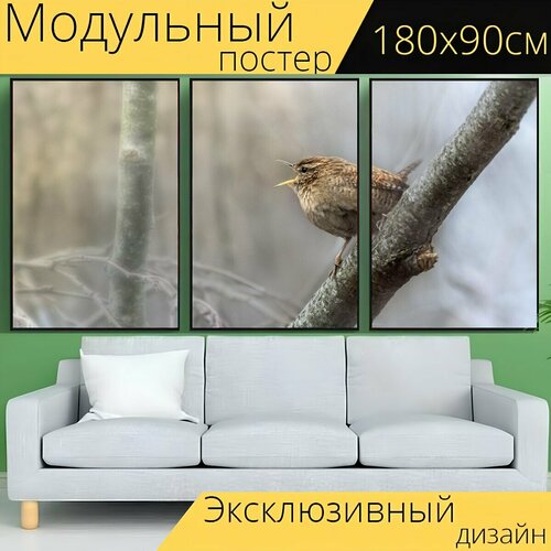 Модульный постер "Евразийский крапивник, птица, филиал" 180 x 90 см. для интерьера