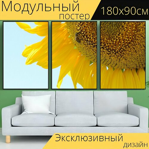 Модульный постер "Пчела, подсолнечник, растение" 180 x 90 см. для интерьера