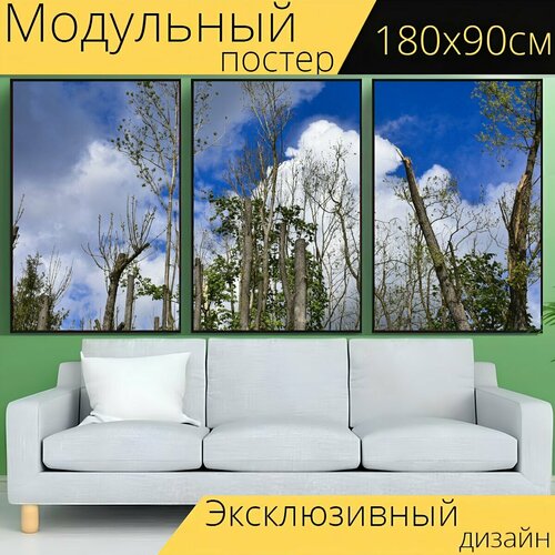 Модульный постер "Деревья, лес, буря" 180 x 90 см. для интерьера