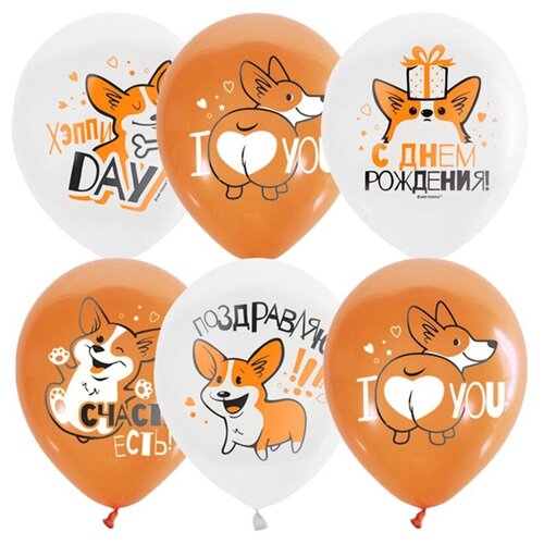 Воздушные шары Пати Бум 25 шт, М12/30 см, "White&Orange, Корги, С днем рождения", декоратор, шелк (4690296072292)