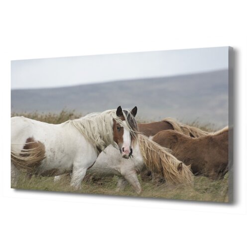 Картина на холсте "Лошадь" PRC-682 (45x30см). Натуральный холст