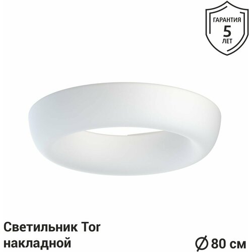 Светильник светодиодный тороидальной формы (кольцо) диаметром 80 см с креплением на стену и потолок TOR_S