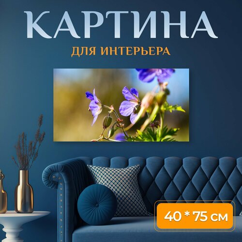 Картина на холсте "Полевой цветок, луг, синий" на подрамнике 75х40 см. для интерьера
