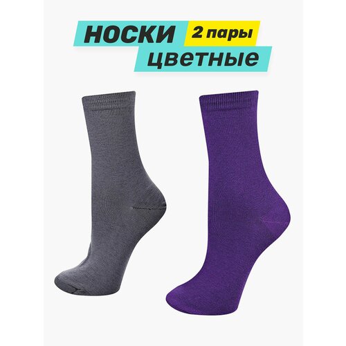 Носки Big Bang Socks, 2 пары, размер 40-44, серый, фиолетовый