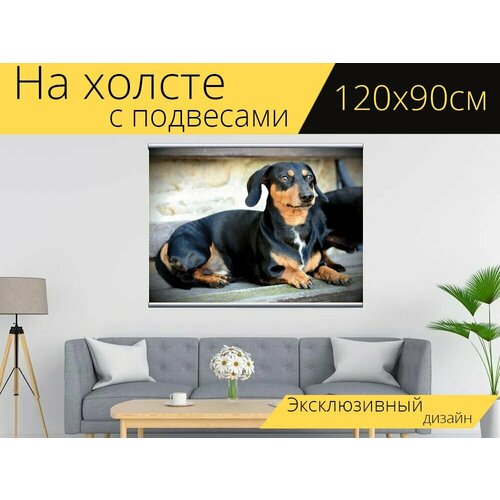 Картина на холсте "Собака, такса, домашнее животное" с подвесами 120х90 см. для интерьера
