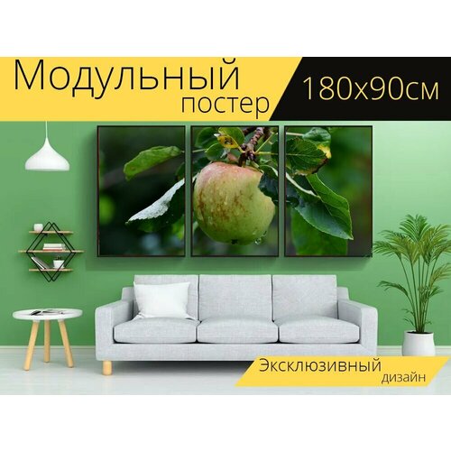 Модульный постер "Яблоня, зеленое яблоко, фрукты" 180 x 90 см. для интерьера