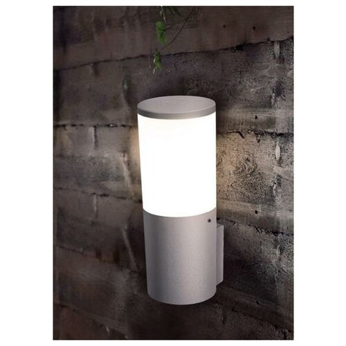 Светильник уличный настенный FUMAGALLI AMELIA WALL GREY OPAL E27 FILAMENT LED 6W 2,7K